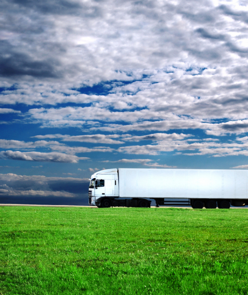 Local Authority Net Zero Transport Strategy - Mint Green Sustainability